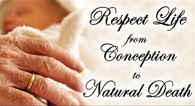 Saint Mary Parish | A Catholic Faith Community